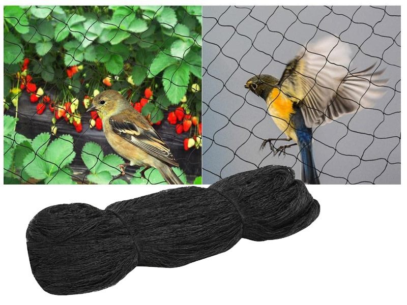 NEW Bird Netting - NEW – golly.co.nz