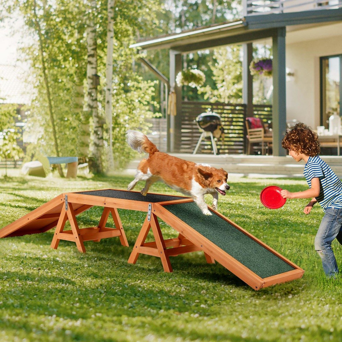 Dog Agility Ramp Training Toy,Pet Obedience Training Equipment – golly ...