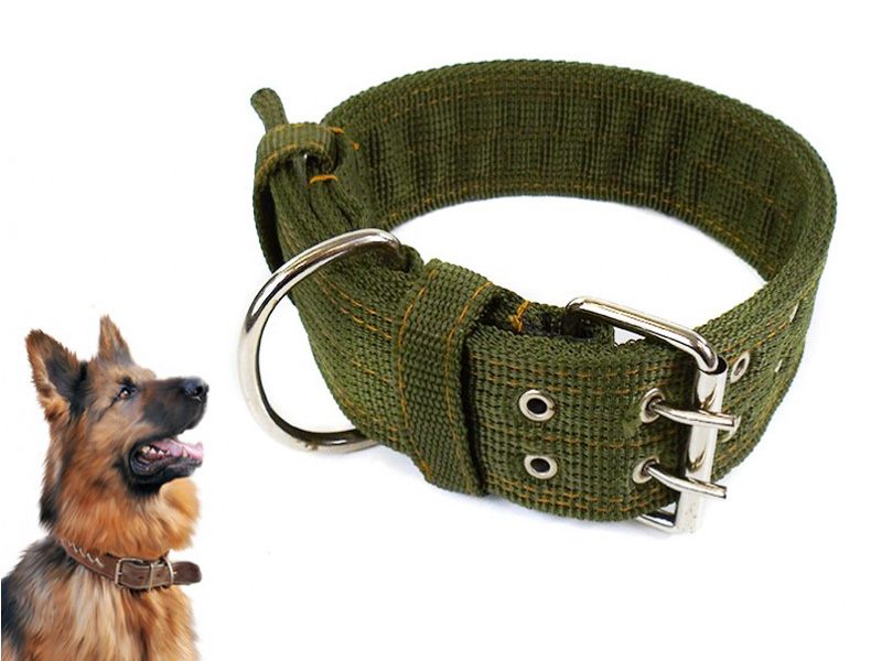 Dog Collar – golly.co.nz