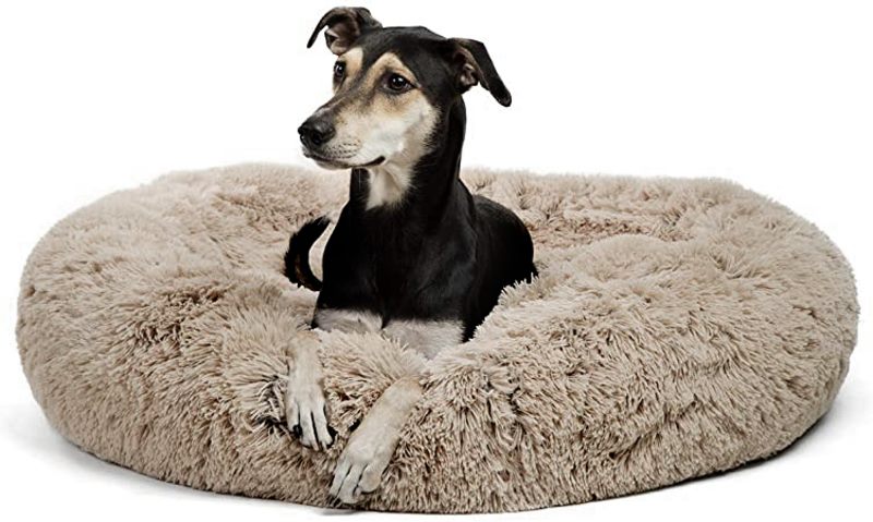 Dog Bed M – golly.co.nz