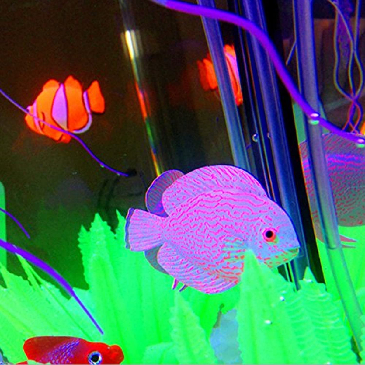 Artificial Fish Glowing Effect Floating – golly.co.nz